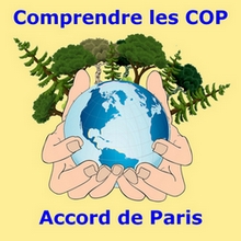 Comprendre les COP – Chapitre 2 : Accord de Paris - Canopée 12